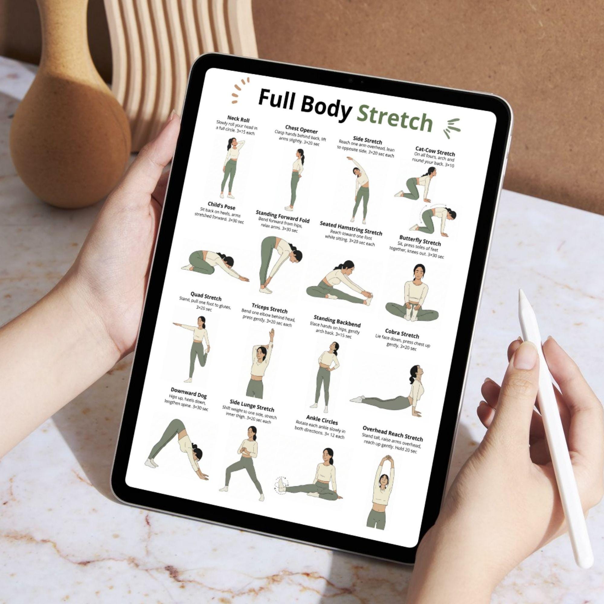 Full Body Stretch Poster With Flexibility Exercises | Home Stretch ...