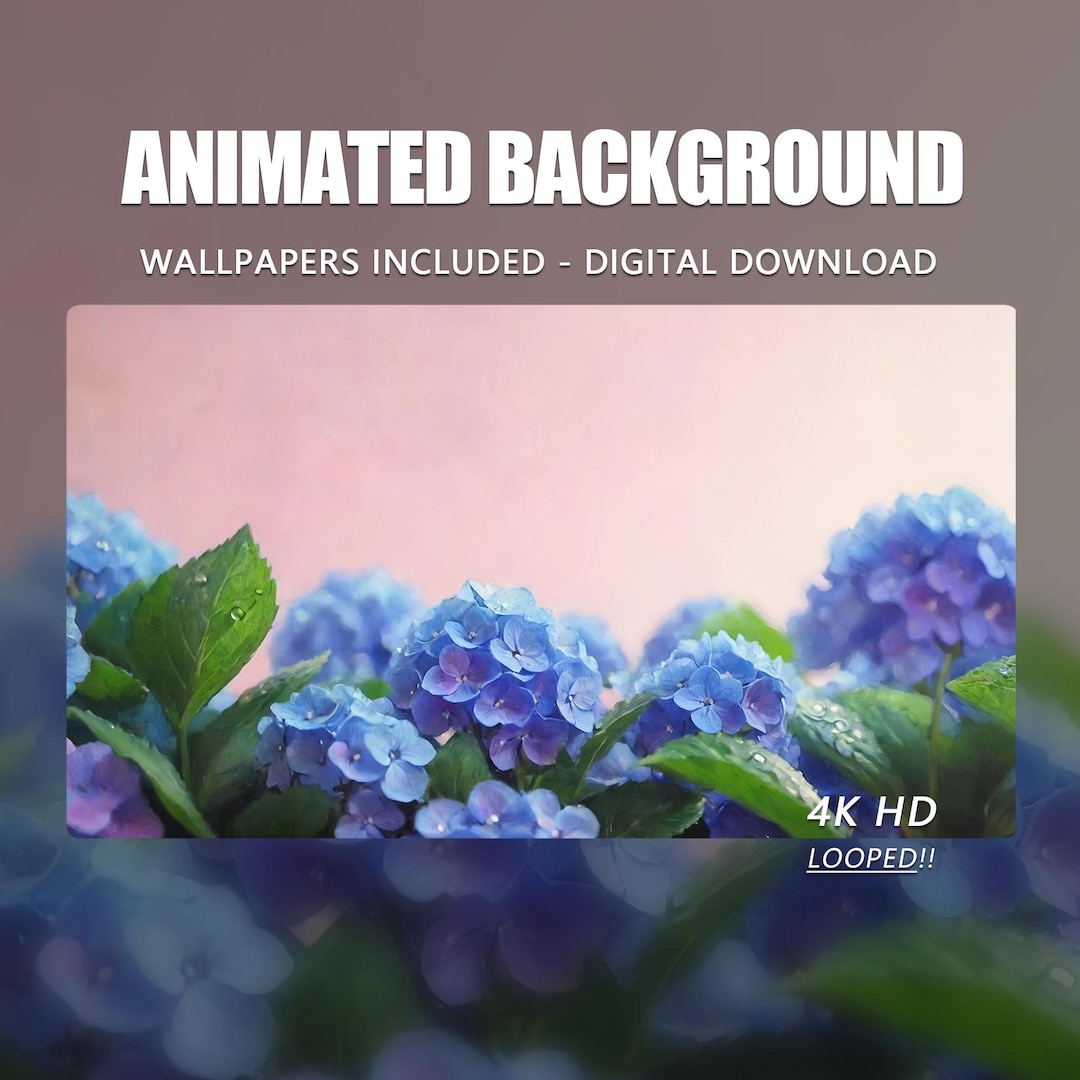 Animated Background, Hydrangea Floral, Blue Purple Blooms With Morning ...