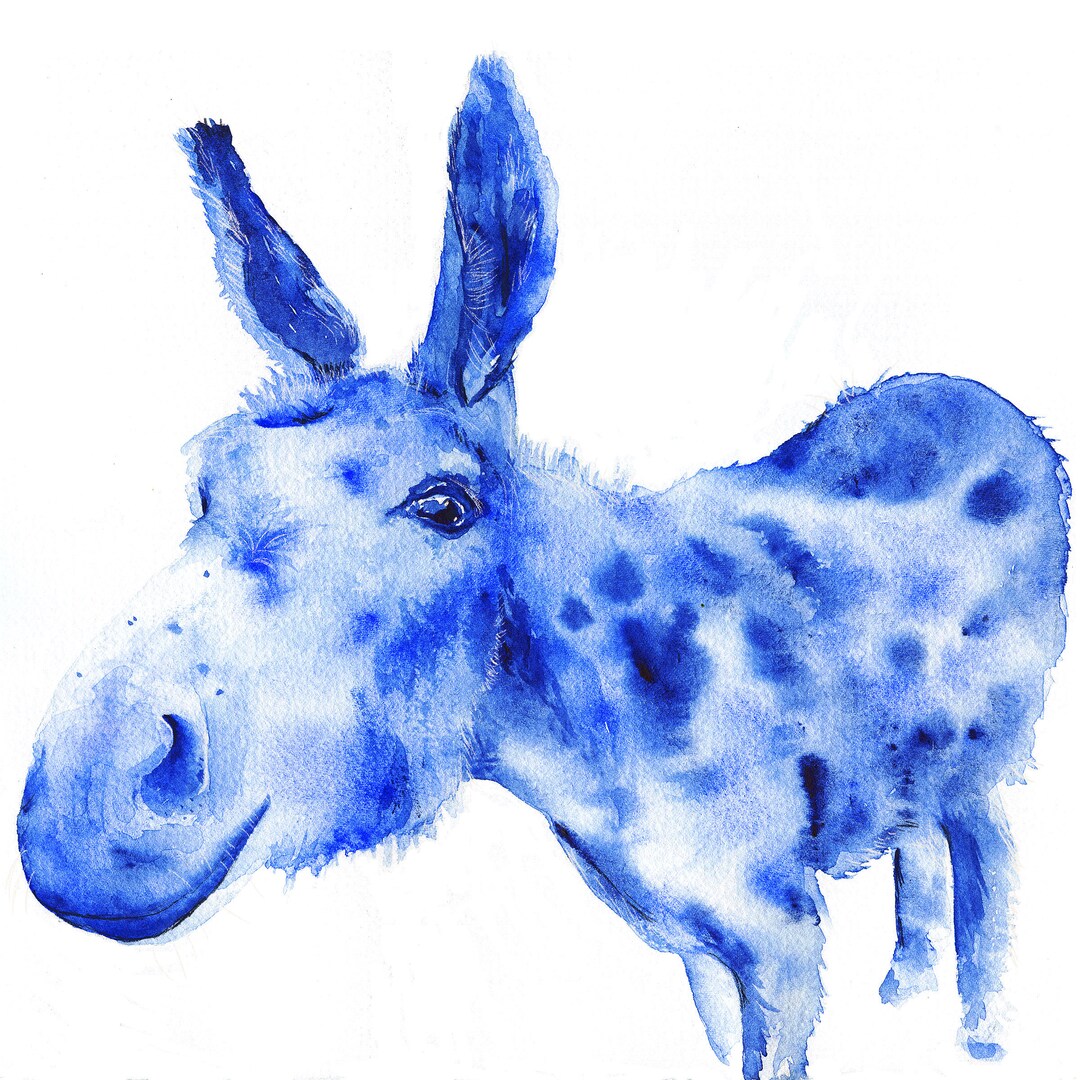 Blue Donkey Watercolor Painting Barnyard Series Square Giclee Art Print ...