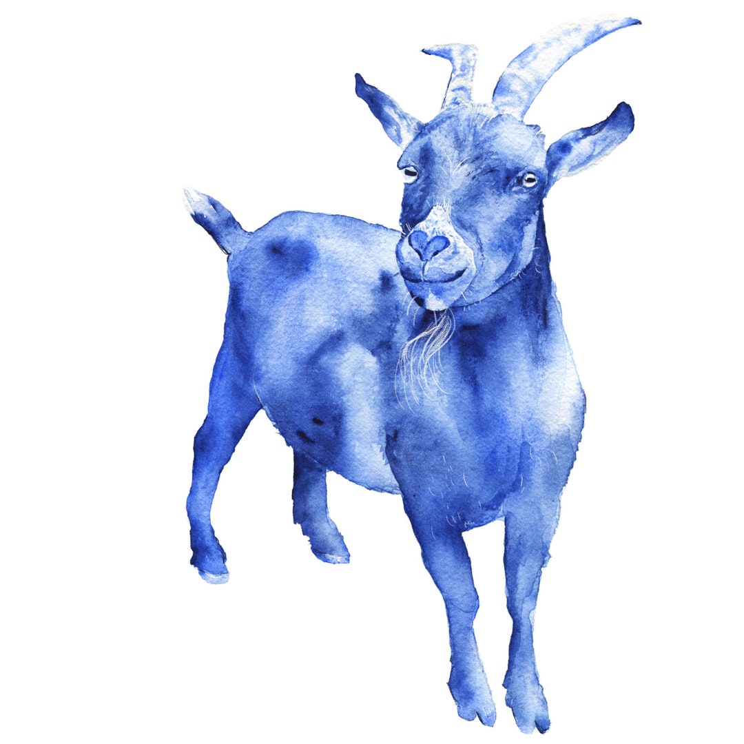 Blue Goat Watercolor Painting Barnyard Series Square Giclee Art Print ...