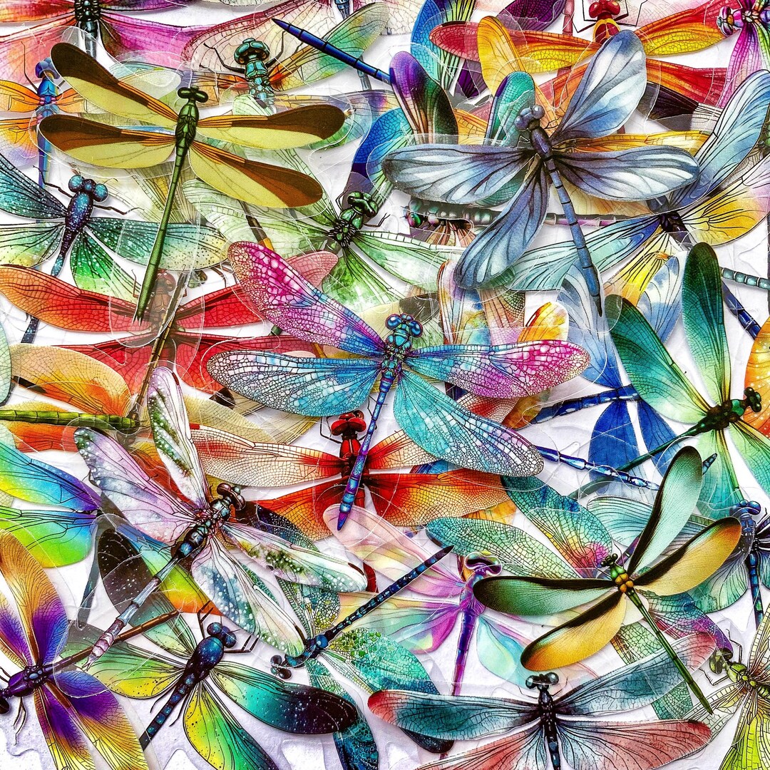 50PCS Artistic Dragonfly Stickers, Vivid Colorful Insect Stickers ...