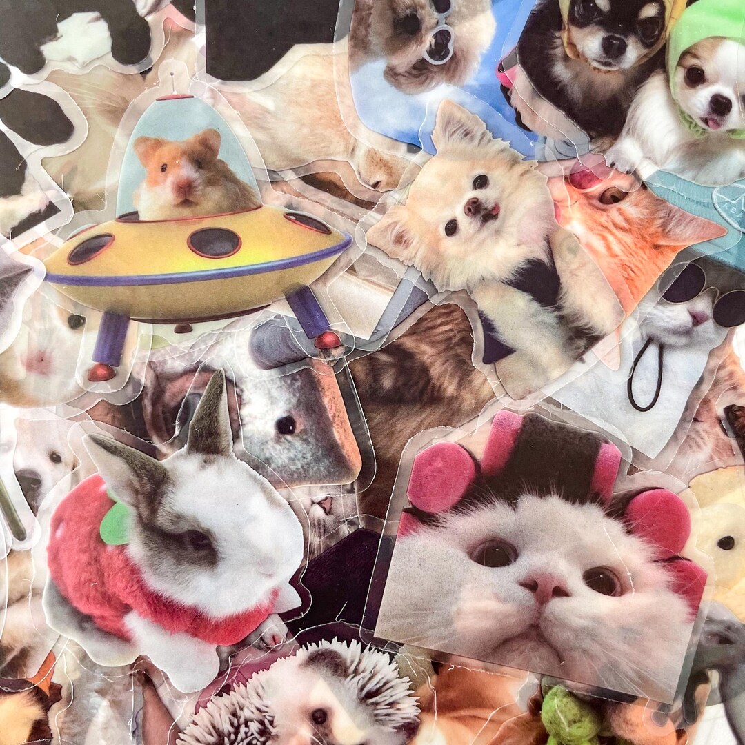 50PCS Funny Animal Stickers Pack, Dog Lover Stickers, Cute Cat Stickers ...