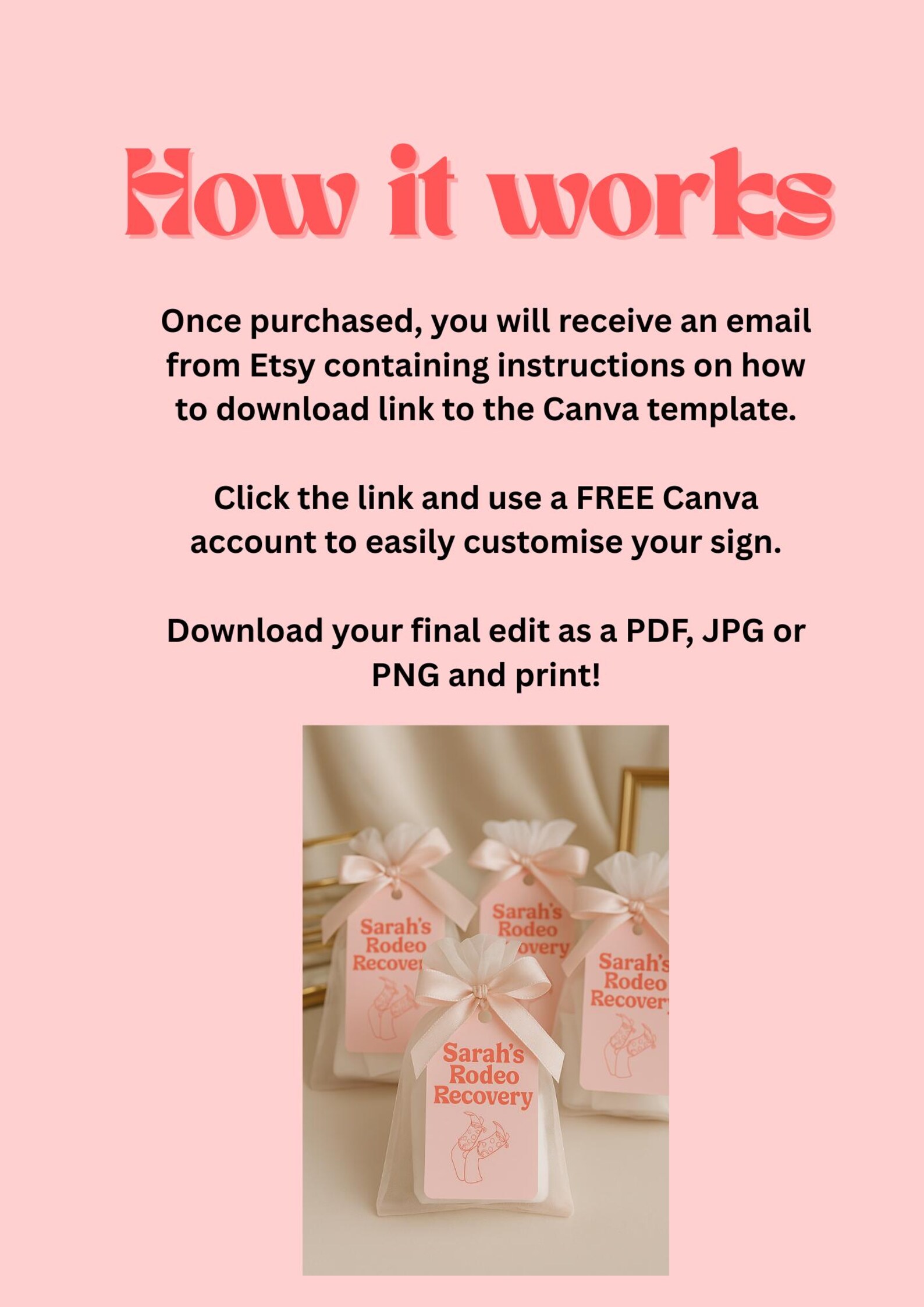Editable Rodeo Recovery Tags | Final Rodeo Hangover Kit Printable ...