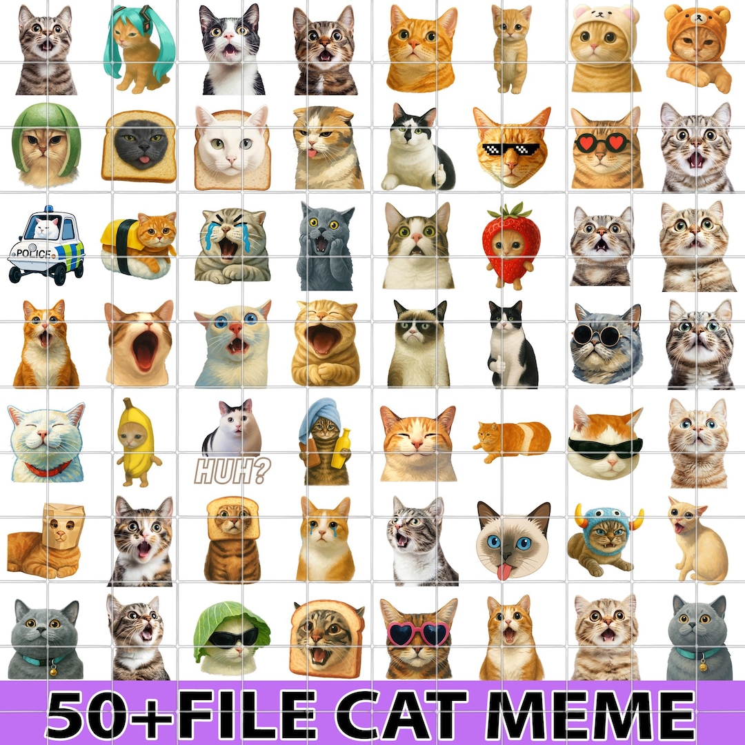 50+ Design Cat Meme Png Bundle, Funny Cat Png, Crying Sad Cat, Cricut ...
