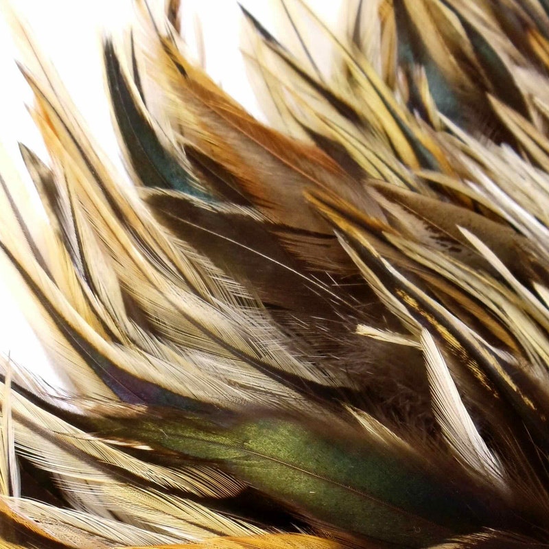 Badger Rooster Feather - Etsy