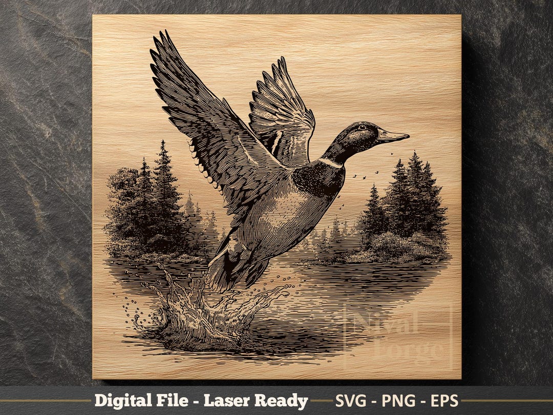 Mallard Duck Vector Illustration – Wild Duck SVG PNG EPS – Line Art ...