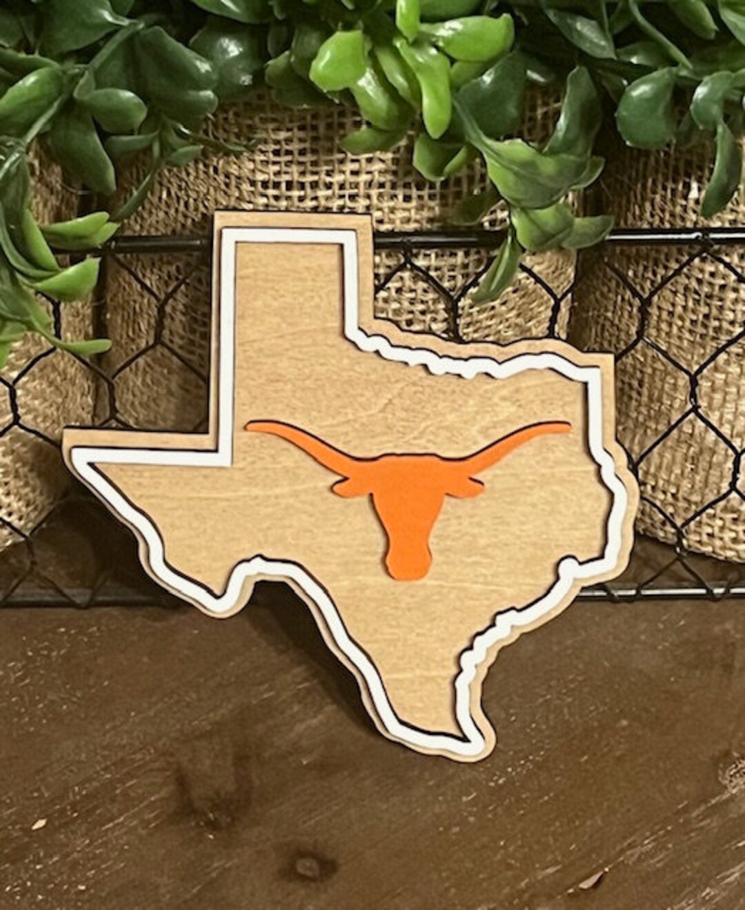 Texas College Magnet, Texas Refrigerator Magnet, Graduation Gift ...