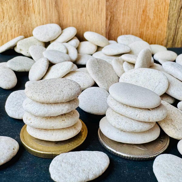 Oval Beach Art - Etsy