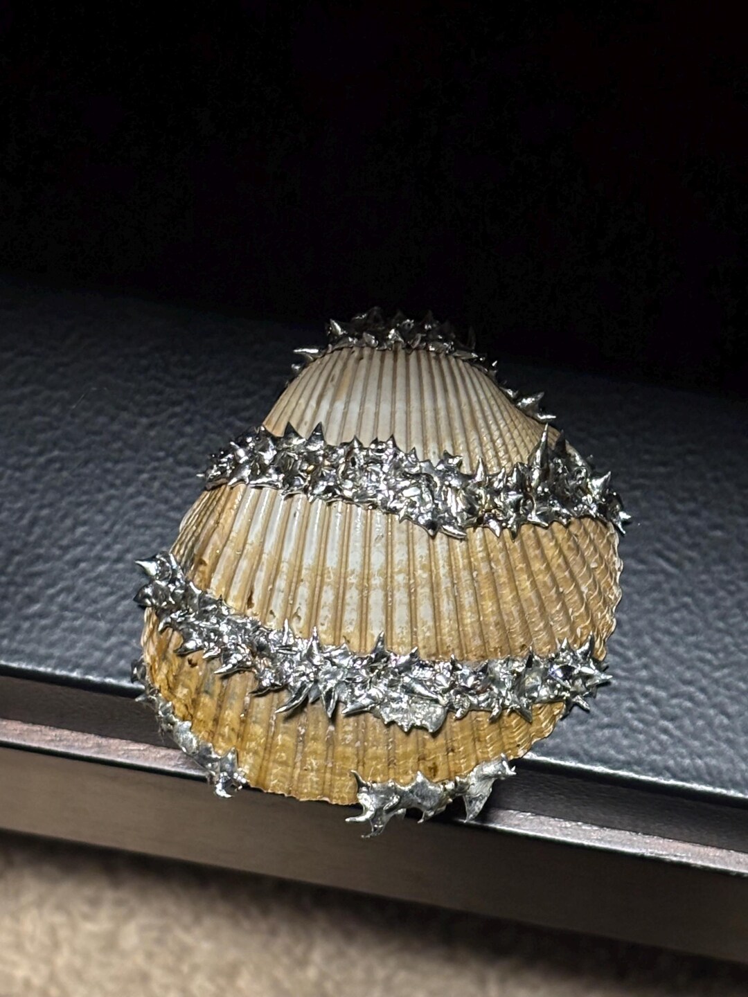 Spine of the Sea – Handmade Spiked Shell Necklace, Brutalist Ocean ...
