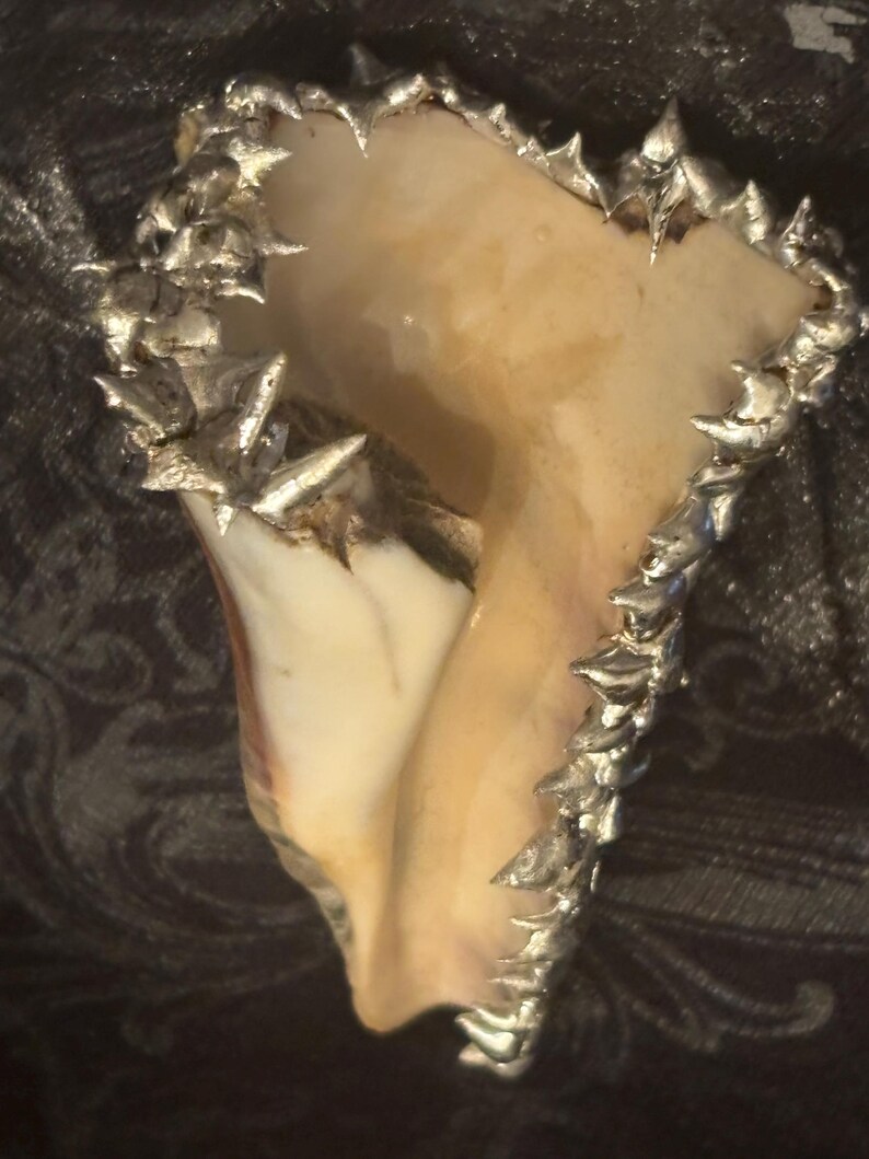 Spiked Shell Sculpture – Handmade Ocean Relic for Altar Decor, Sea ...