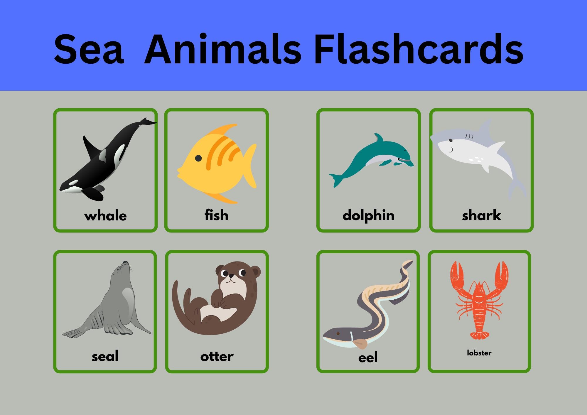 Sea Animals Flashcards, Ocean Creatures Learning Cards for Kids - Etsy