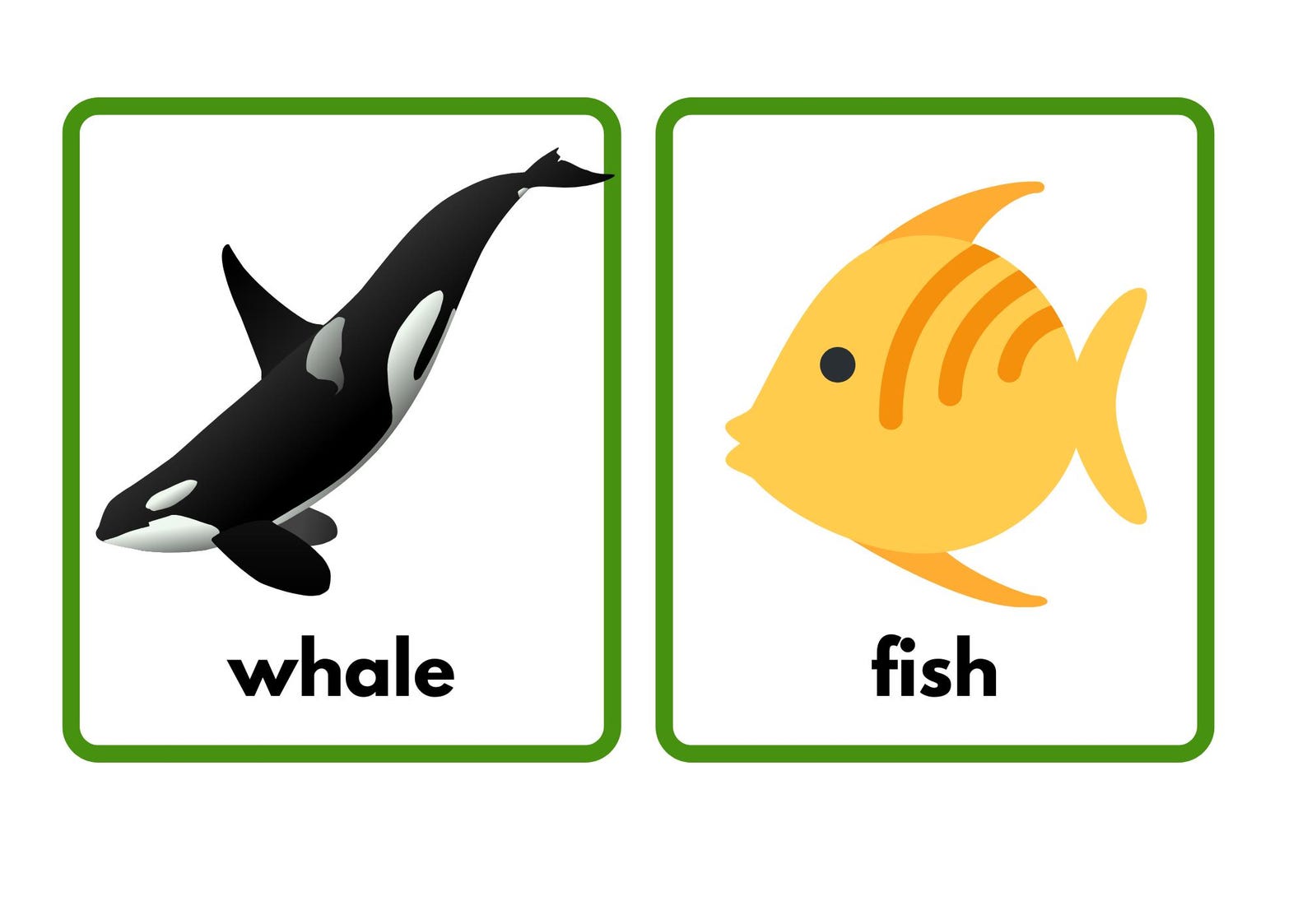 Sea Animals Flashcards, Ocean Creatures Learning Cards for Kids - Etsy