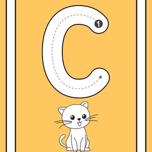Alphabet Tracing Flashcards: Colorful Minimalist Uppercase & Lowercase ...
