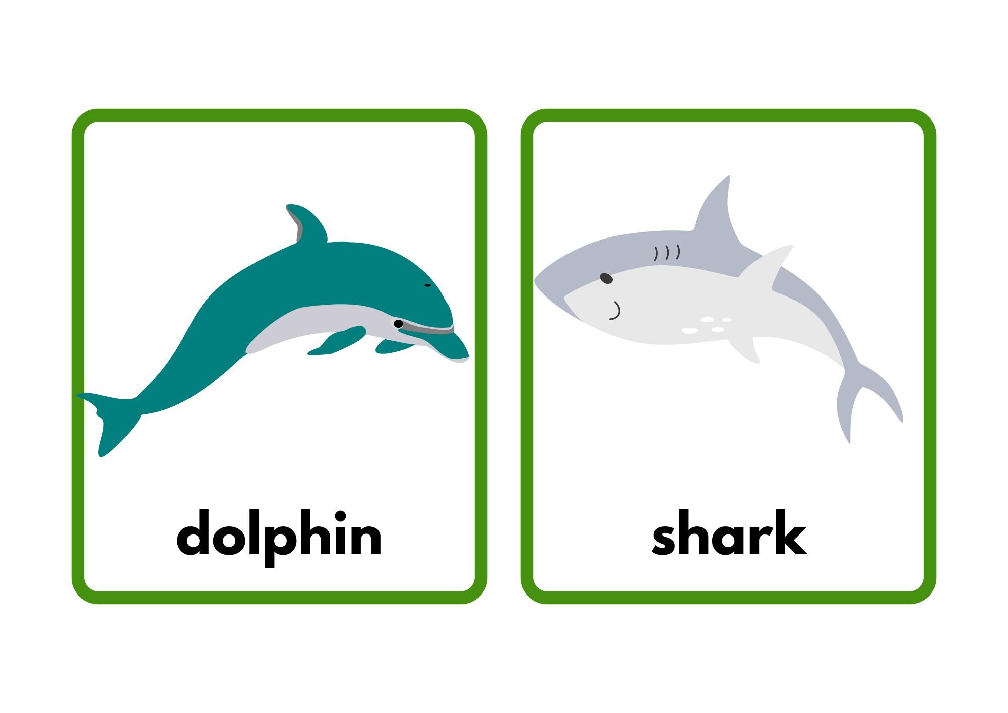 Sea Animals Flashcards, Ocean Creatures Learning Cards for Kids - Etsy