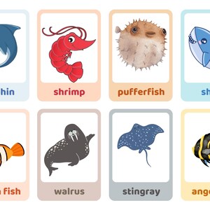 Printable Sea Animals Flashcards for Kids, Ocean Creature Learning ...