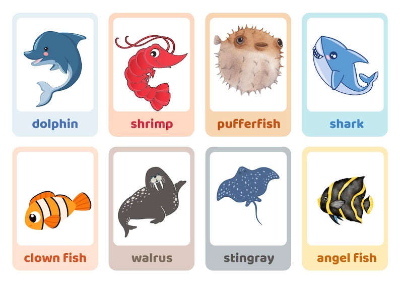 Printable Sea Animals Flashcards for Kids, Ocean Creature Learning ...