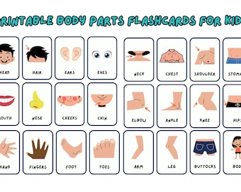 Body Parts Flashcards for Kids Printable Human Body Learning Cards ...