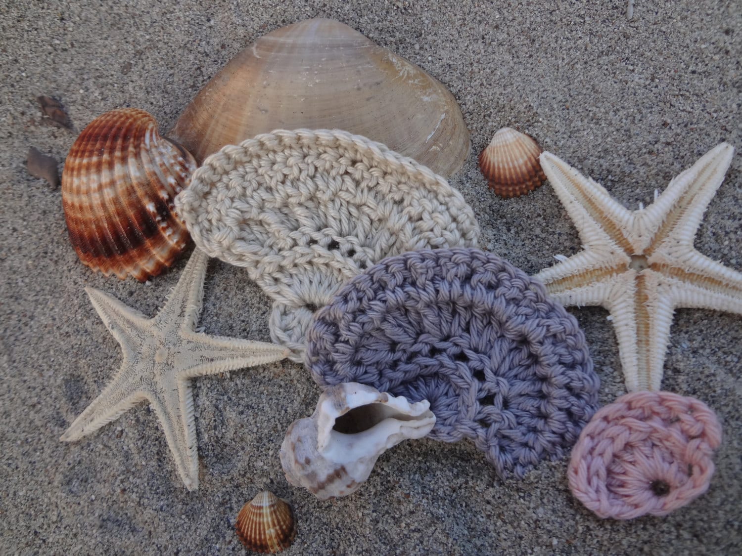 PDF Shell Crochet Patterns Crochet Shell Pattern Crocheted - Etsy