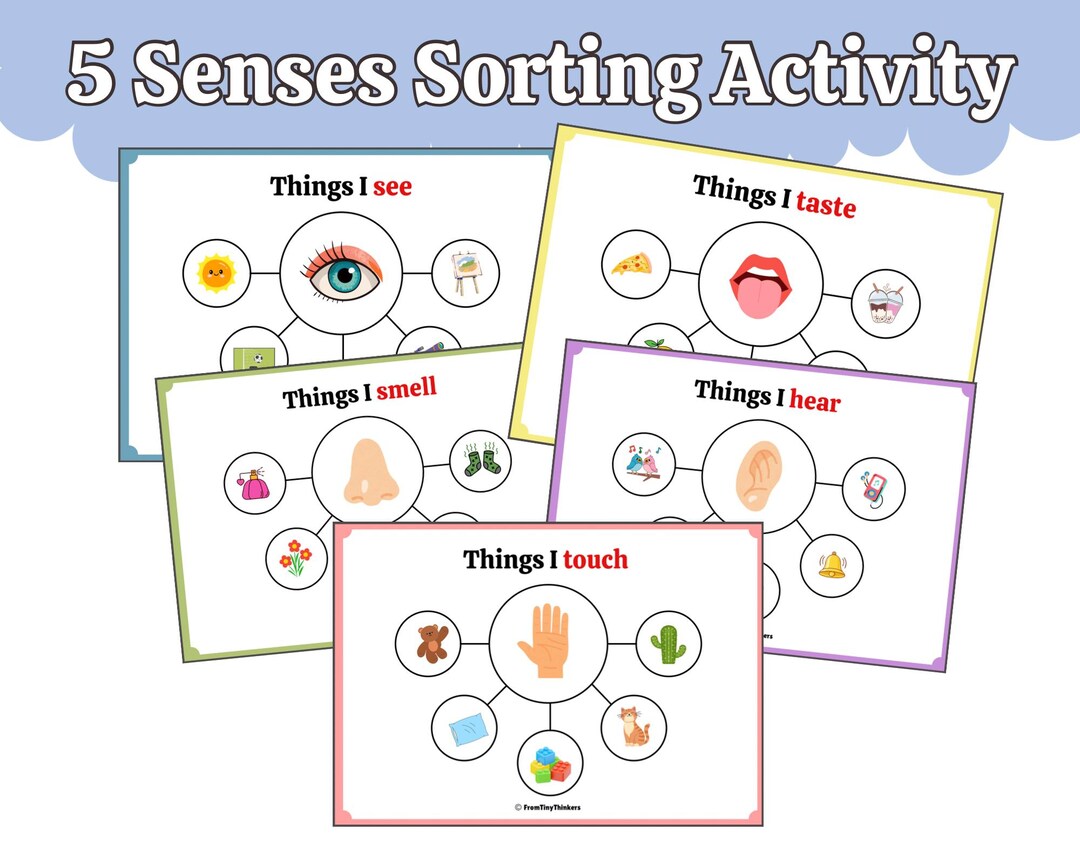 5 Senses Sorting Activity - Etsy
