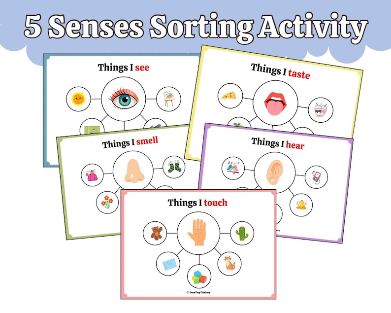 5 Senses Sorting Activity - Etsy