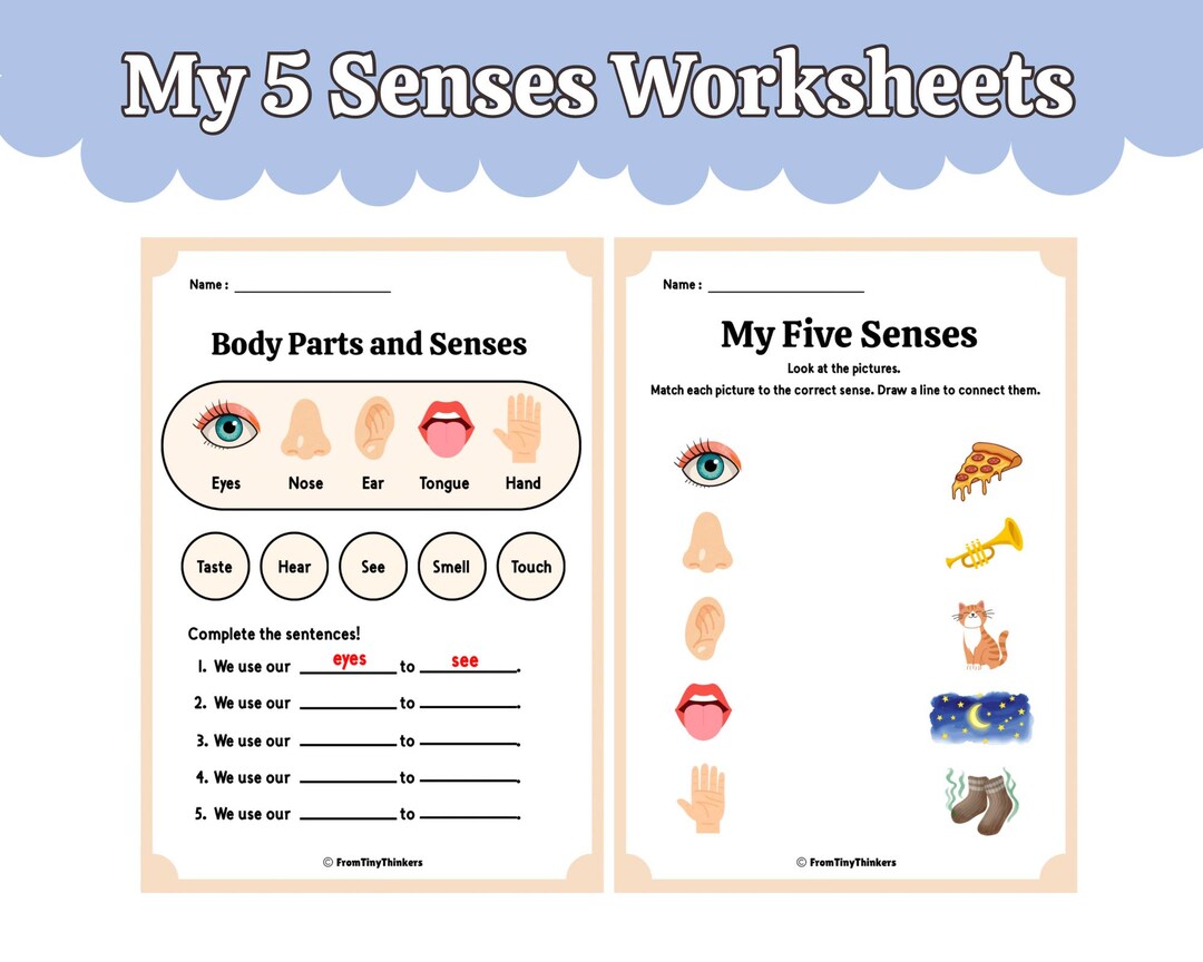 My Five Senses Printable Worksheet Set - Etsy Canada