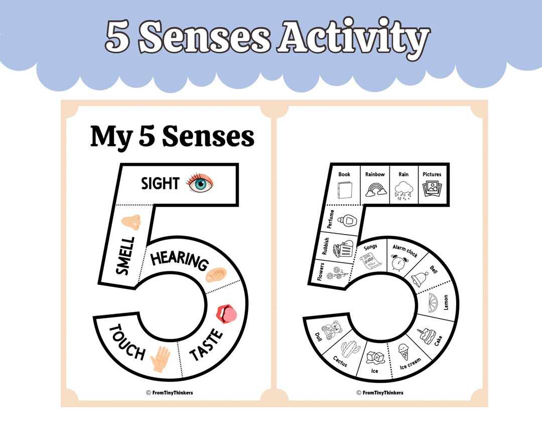 5 Senses - Cut and Paste Activity - Etsy