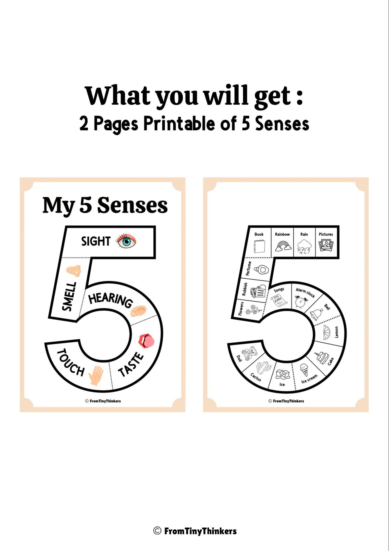 5 Senses - Cut and Paste Activity - Etsy