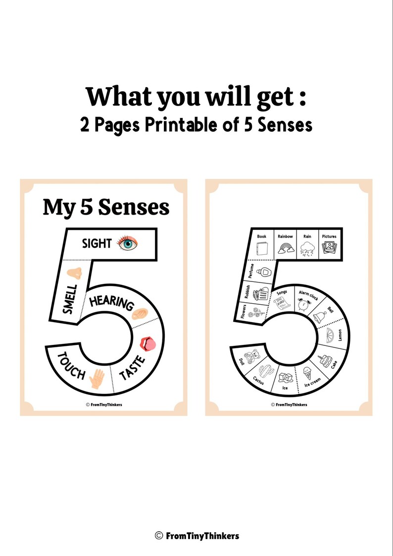 5 Senses - Cut and Paste Activity - Etsy