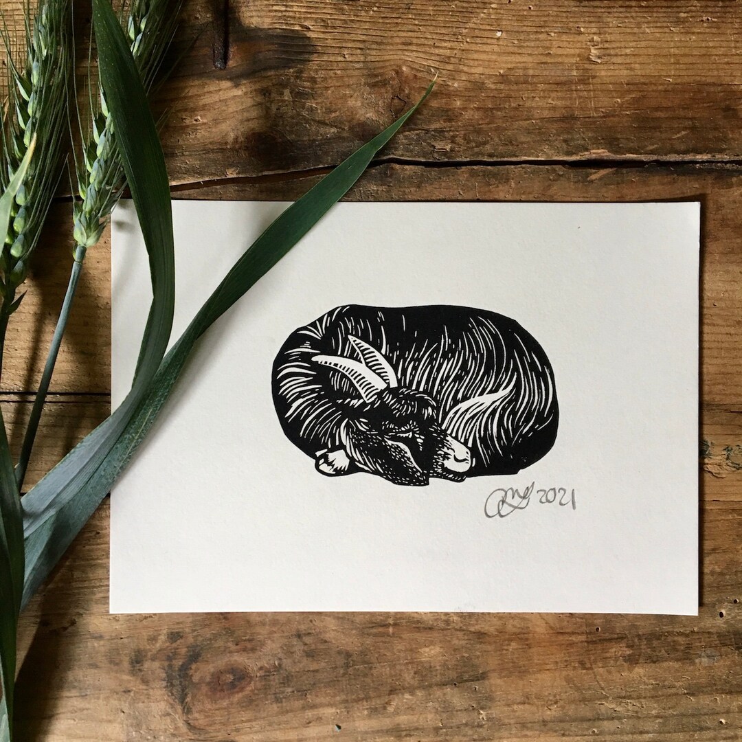 The Sleeping Goat, Original Linocut Print, Signed and Dated, UNFRAMED ...