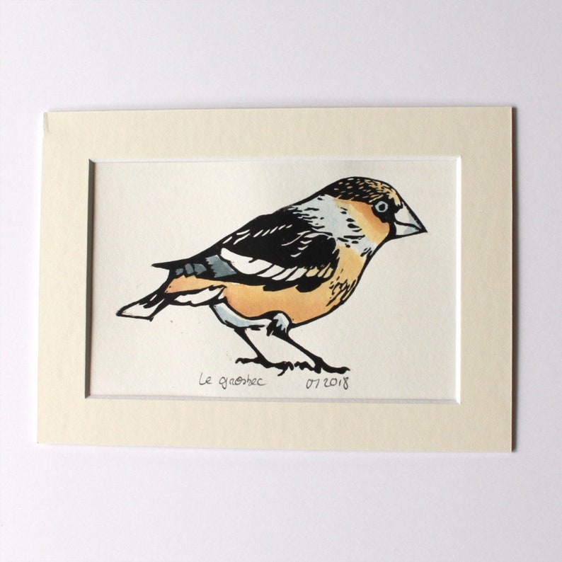 Hawfinch Bird Original Linocut Print With Off-white Mat | Etsy