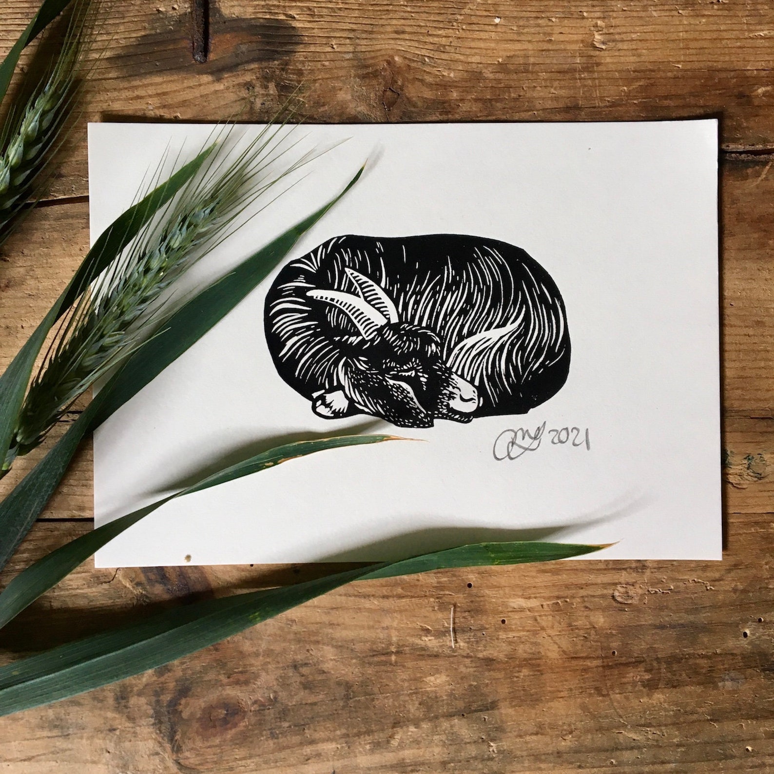 The Sleeping Goat Original Linocut Print Signed and Dated - Etsy