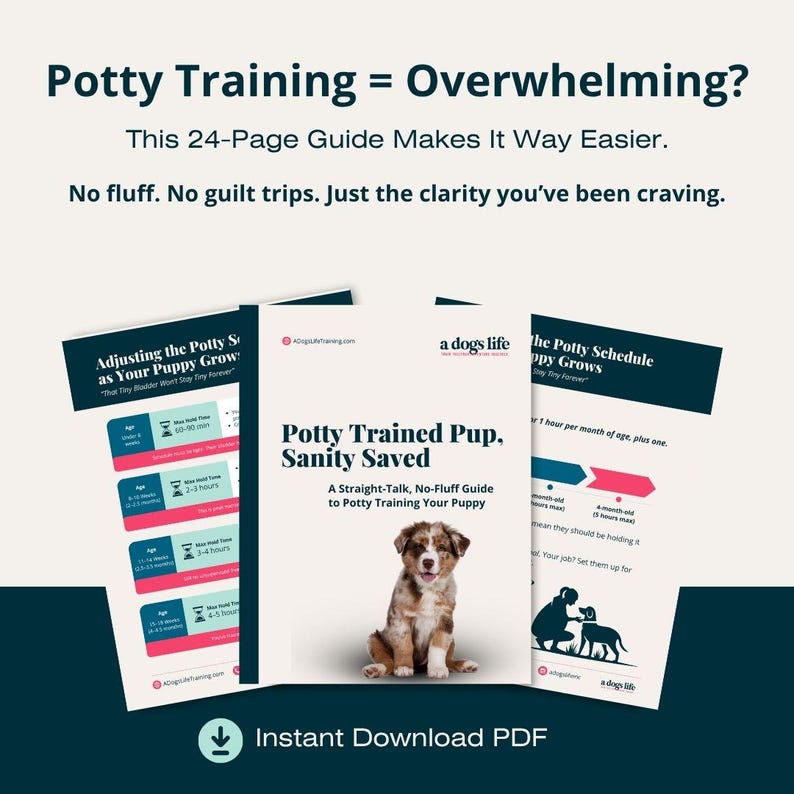 Puppy Potty Training Schedule & Crate Guide • Printable Dog Training ...