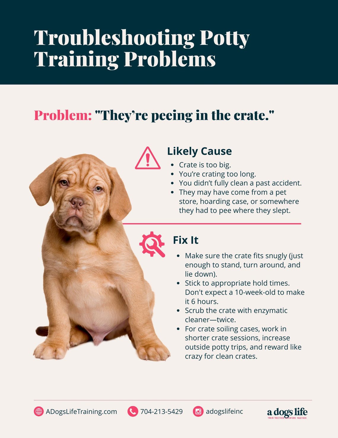 Puppy Potty Training Schedule & Crate Guide • Printable Dog Training ...