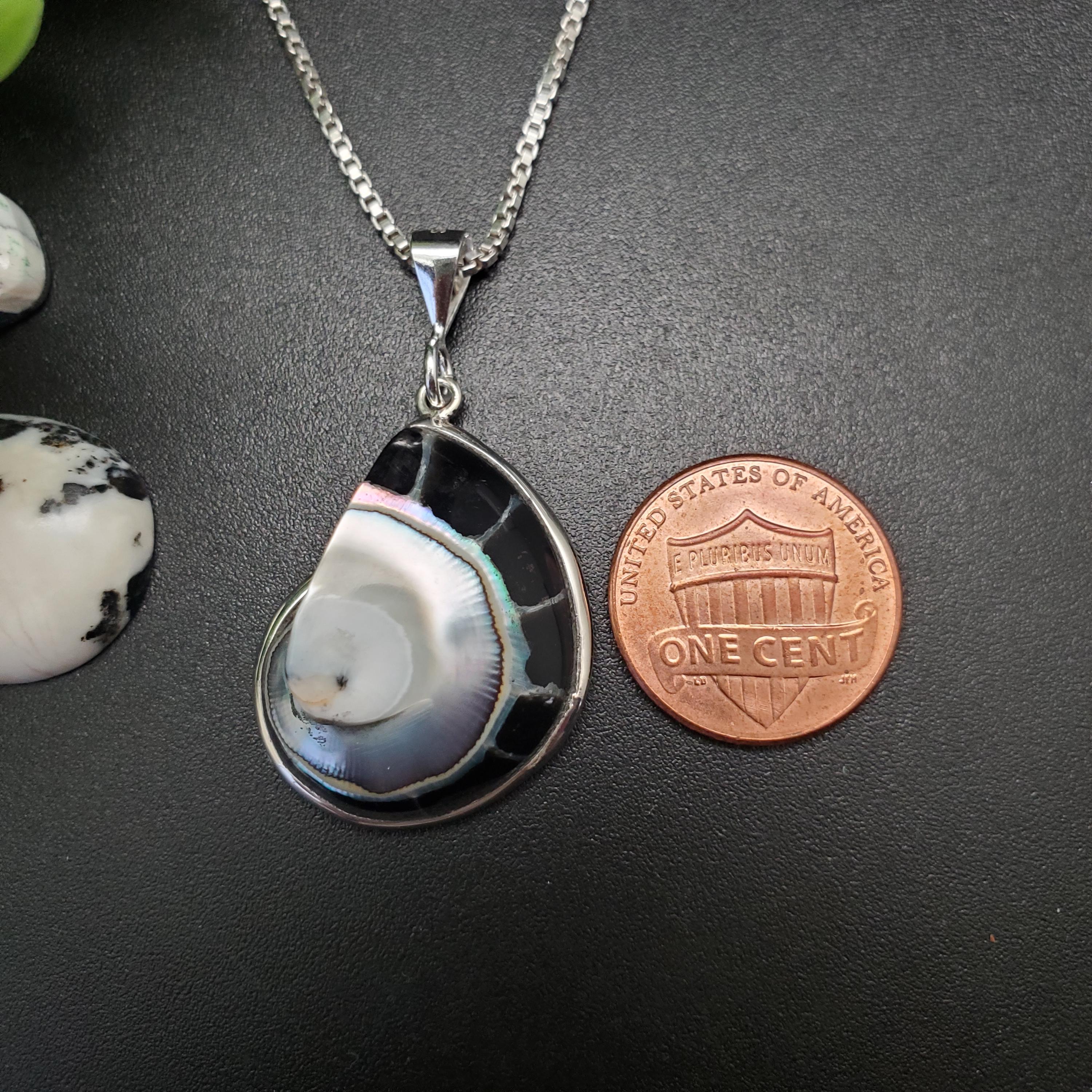 Z-315 | Sterling Silver Nautilus Shell Pendant Options Silver Chain ...