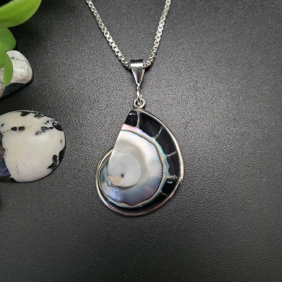 Z-315 | Sterling Silver Nautilus Shell Pendant Options Silver Chain ...