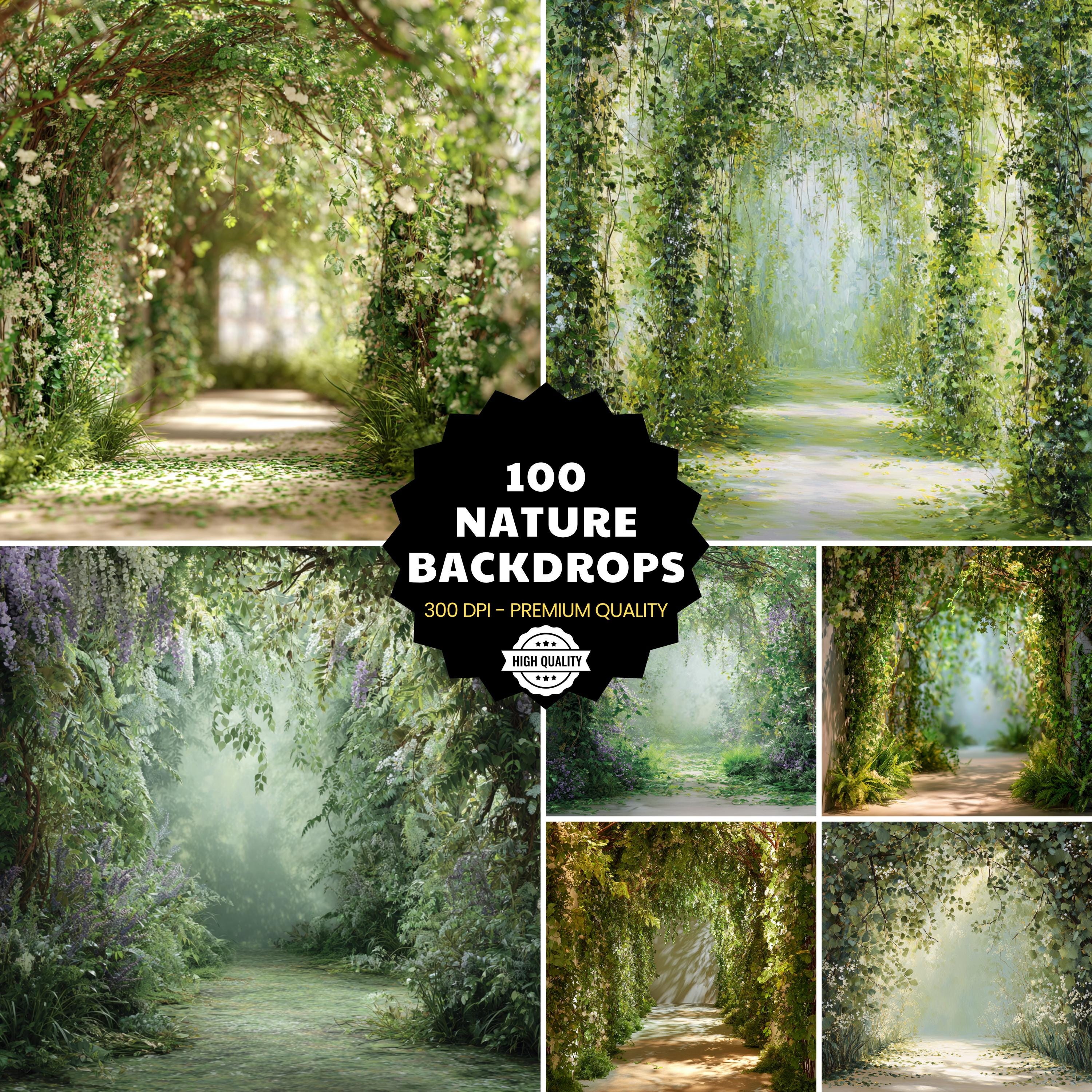 100 Nature Backdrops – Enchanted Forest Trails, Leafy Archways & Garden ...