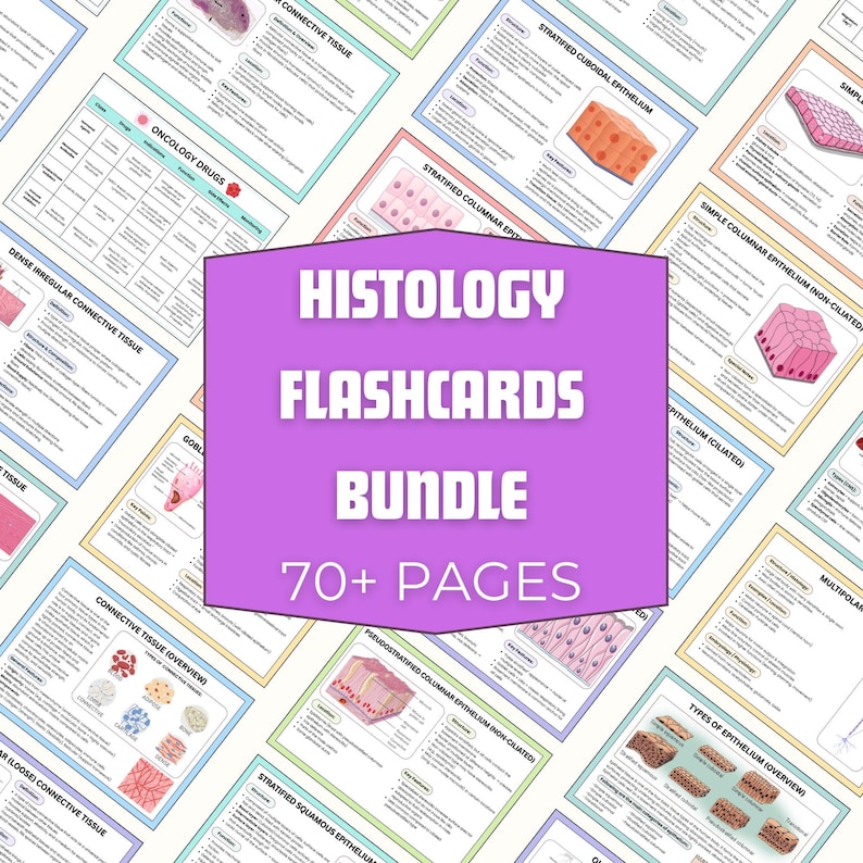 Histology Flashcards Bundle: 70+ Study Cards, Diagrams (printable ...