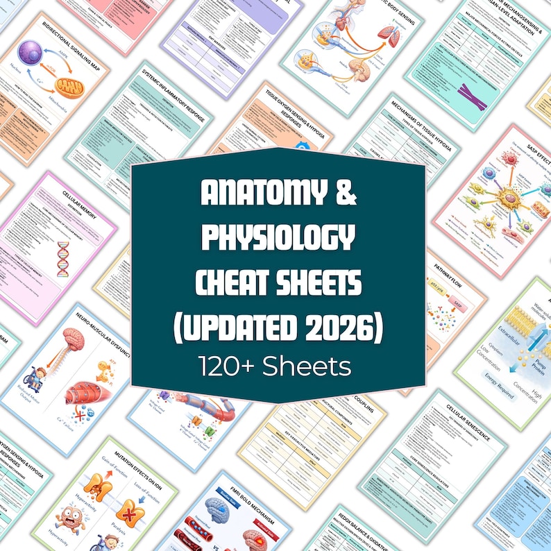 Anatomy & Physiology Cheat Sheet | 2026 Anatomy and Physiology Study ...
