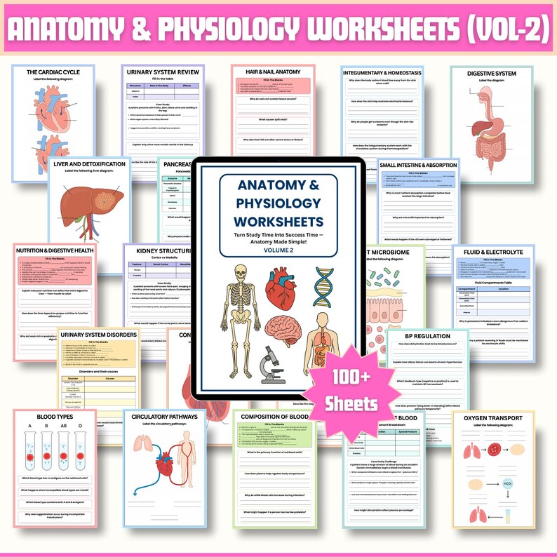 100+ Anatomy & Physiology Worksheet Bundle-complete Anatomy Study Guide ...