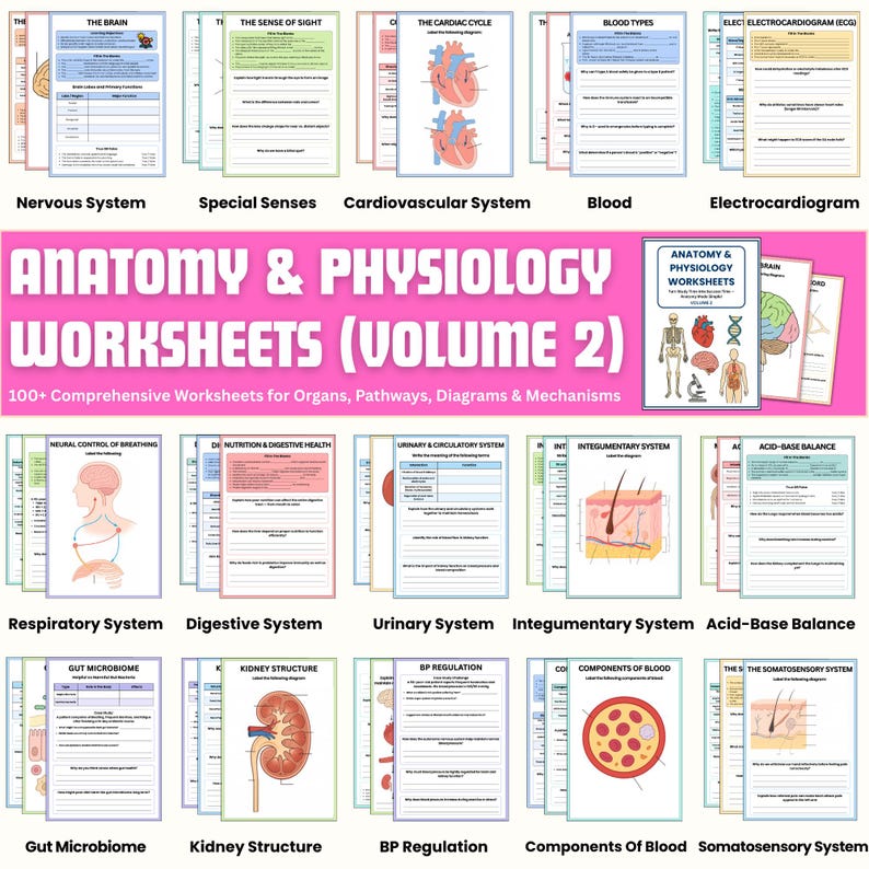 100+ Anatomy & Physiology Worksheet Bundle-complete Anatomy Study Guide ...