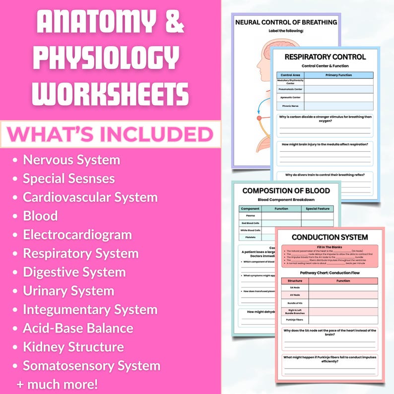 100+ Anatomy & Physiology Worksheet Bundle-complete Anatomy Study Guide ...