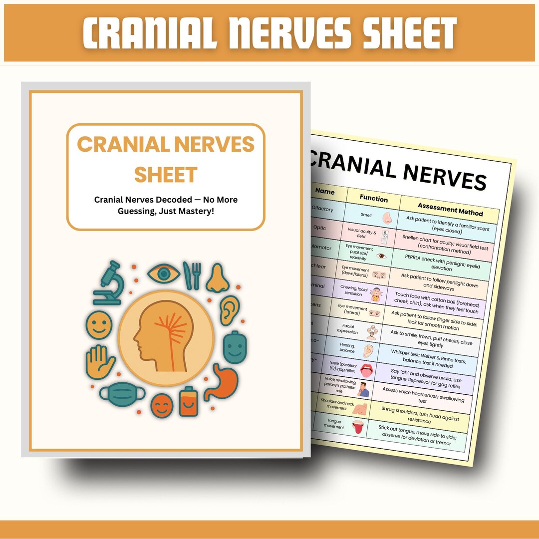 Cranial Nerves Study Guide – Cheat Sheets, Assessment (printable PDF ...