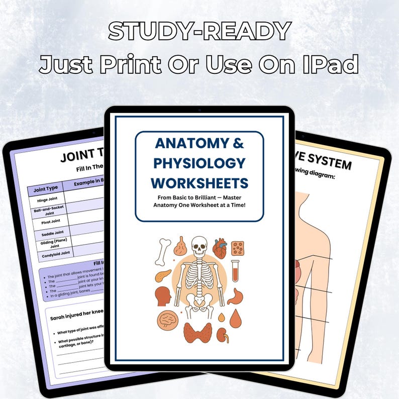 Anatomy and Physiology Worksheet Bundle | Human Anatomy | Nursing ...