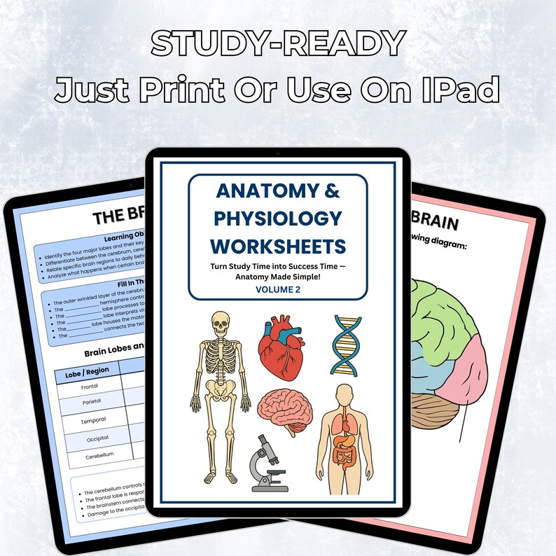 100+ Anatomy & Physiology Worksheet Bundle-complete Anatomy Study Guide ...