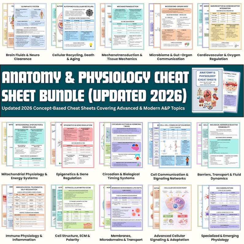 Anatomy & Physiology Cheat Sheet | 2026 Anatomy and Physiology Study ...