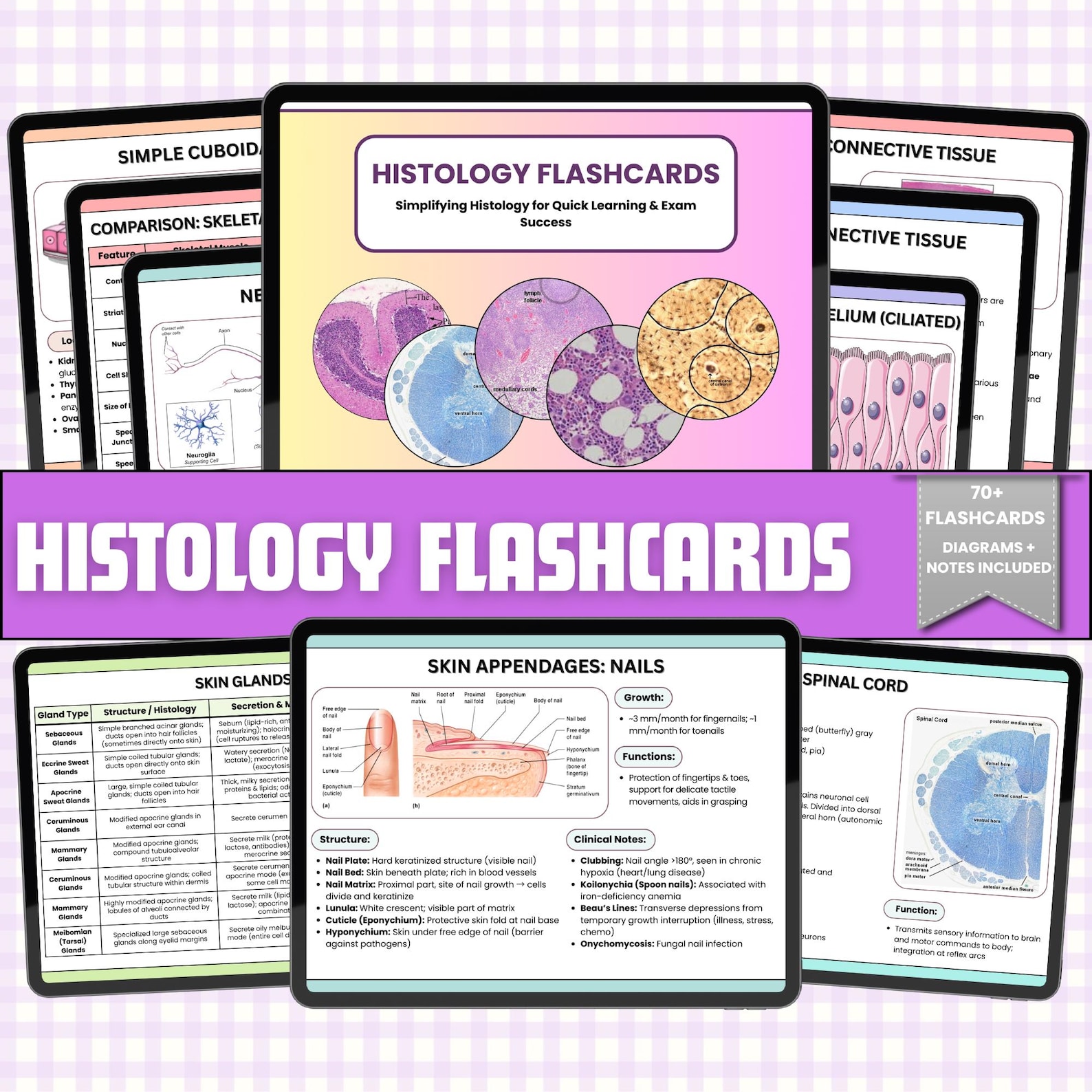 Histology Flashcards Bundle: 70+ Study Cards, Diagrams (printable ...