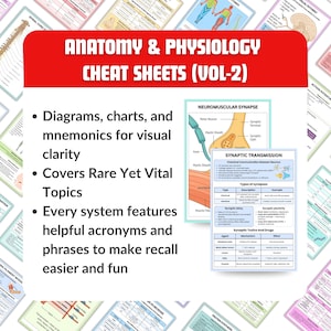 Anatomy & Physiology Study Guide: 150 Pages of Medical Notes (instant ...