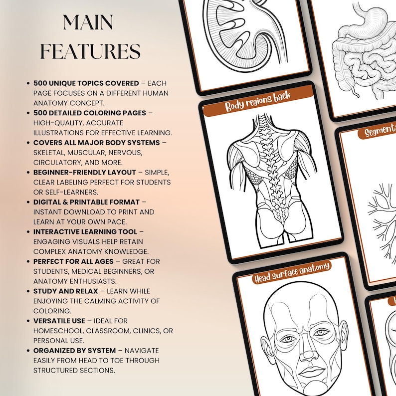 500 Human Anatomy Coloring Pages, Body Diagram, Medical School, Learn ...