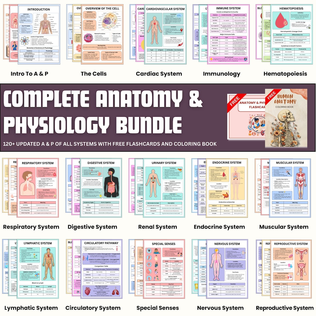 Anatomy & Physiology Bundle With Flashcards-complete Anatomy Study ...