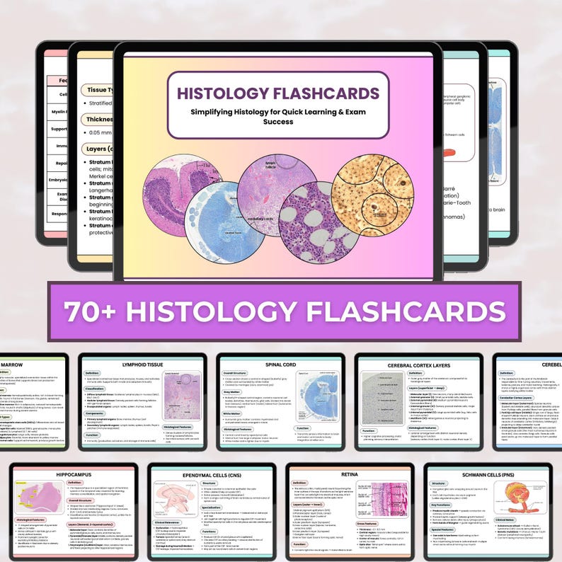 Histology Flashcards Bundle: 70+ Study Cards, Diagrams (printable ...